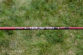 UST Mamiya LIN-Q M40X Red Shaft Review - Driving Range Heroes